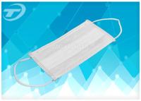 China Disposable 2 Ply Non-Woven Face Mask with Earloop 17.5x9.5cm CE ISO Certified for sale