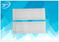 China Medical Disposable 2 Ply Face Mask With Earloop / Filter Paper for sale