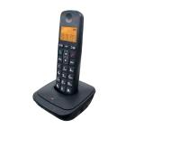 China Home Walkie Talkie Landline Phone D1007 Digital Cordless Phone Handheld Low Radiation for sale