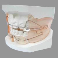 China FR II Orthodontic Functional Retainer for Children Adult for sale