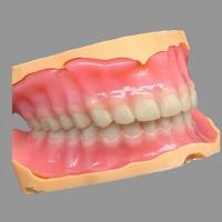 China China Dental Laboratory | CAD/CAM Digital Milled Acrylic Base Denture Removable for sale