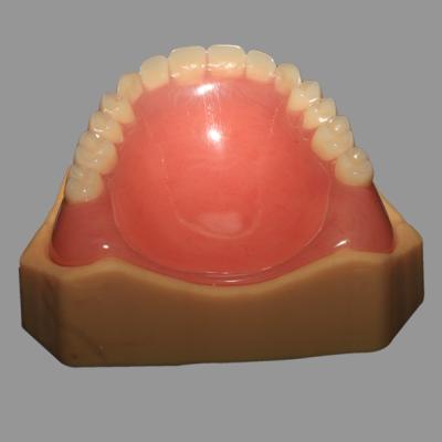 China Casting Full Acrylic Denture Heat Curing Full Arch Shaped for sale