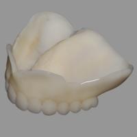 China ADL Dental Laboratories | 3D Printed Denture Try in Biocompatible A1/A2/A3 for Perfect Fit And Occlusion for sale