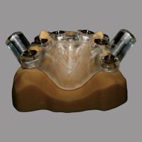 China Digital Dental Solutions Lab | Custom Transparent Dental Implant Solutions Surgical Stent Ergonomic Design for sale