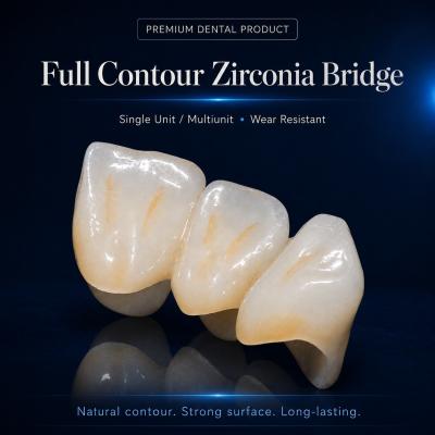 China Full Contour Zirconia Bridge | Durable Dental Lab Prosthesis for sale
