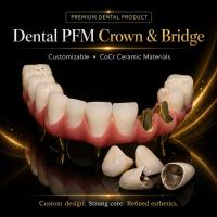 China Custom PFM Crown & Bridge | Co‑Cr Ceramic Dental Lab Work for sale