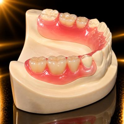 China Dental Lab Crown |  Casting Pink TCS Flexible Partials With Excellent Retention for sale