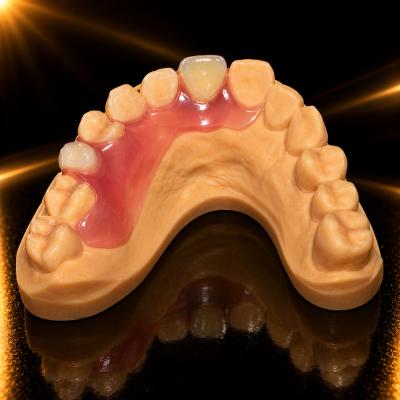China Digital Denture Lab | Natural Looking Valplast Flexible Partial Adjustable Fracture Resistant for sale
