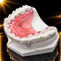 China Chinese Dental Laboratory |  Stainless Steel Wrap Around Orthodontic Retainer With C Clasp for sale