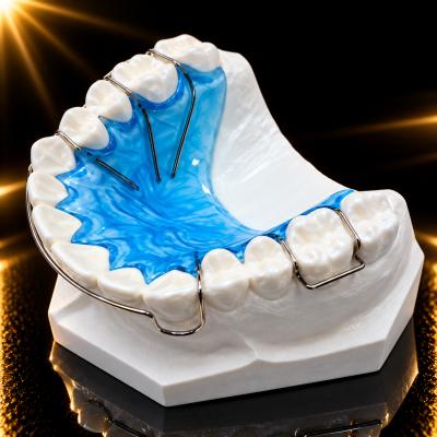 China Dental Lab Outsourcing |  Smooth Wired Hawley Orthodontic Retainer Improved Chewing for sale