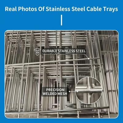 China 100x100 Stainless Steel Wire Basket Tray / Cable Tray Ss316 for sale