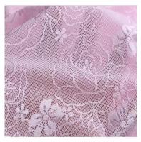 China 100% Nylon Bridal Lace with Embroidery Fabric Mesh for Garments & Home Decor for Girls & Boys for sale