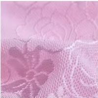 China 100% Nylon Bridal Lace with Embroidery Fabric Mesh for Garments & Home Decor for Girls & Boys for sale