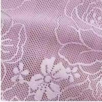 China 100% Nylon Bridal Lace with Embroidery Fabric Mesh for Garments & Home Decor for Girls & Boys for sale