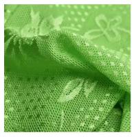 China Luxury Embroidery Lace Fabric 100% Nylon Spandex Mesh for Girls and Boys Dress and Underwear for sale