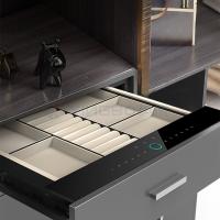 China Auto Open Solid Steel Smart Luxury Locking Jewelry Safe For Cloakroom for sale