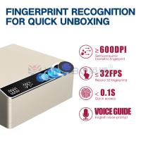 China Fingerprint Lock Voice Guide Steel Luxury Best Home Jewelry Safe Auto Open for sale