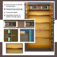 China Biometric Fingerprint Lock Vault Safe Door For Security Heavy Bank Safe Door for sale