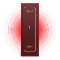 China Multiple Firearm Safe Anti Theft Function Armament Gun Safe Box With Key Opening for sale