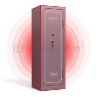 China State Compliant Gun Safe Gun Safes Best Document Safe Firearm Safety Device for sale