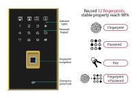 China Anti-Theft Commercial Safe Boxes Alarm System Biometric Fingerprint Lock 7 Open Ways for sale