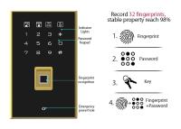 China 266±2kg Fingerprint Lock Commercial Safe Box with Patent Solid Bolts Adjustable Shelves for sale