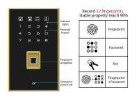 China H1880mm Commercial Cash Safe Fingerprint Lock and Alarm System for Secure Storage for sale