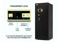 China Biometric Fingerprint Lock Jewelry Watch Winder Safe	Anti Theft for Home Jewelry Money for sale