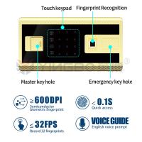 China Fingerprint Lock Home Safe Box 1 mm Flat Door Seam  Double Door for sale