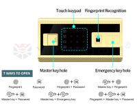China Smart Dual Alarm Solid Steel Jewelry Safe Box with Drawers and Touch Screen Lock for sale