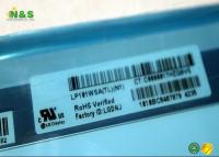 China 10.1 inch lcd display without touch screen LP101WSA-TLN1 with 1024*600 high brightness for sale