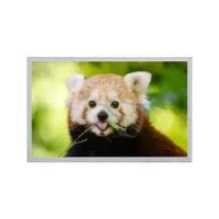 China 12.1 Inch AUO LCD Panel 800*600 G121S1-L02 REV C4 / REV C6  TFT LCD Display Module for sale