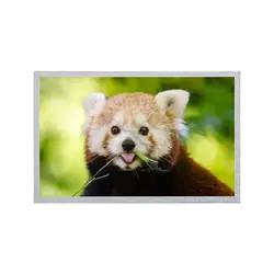 China 12.1 Inch AUO LCD Panel 800*600 G121S1-L02 REV C4 / REV C6  TFT LCD Display Module for sale