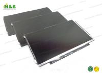 China 11.6 inch M116NWR1 R4 IVO  262K Normally White WLED LVDS  60Hz for sale
