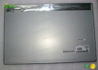 China High Brightness 23