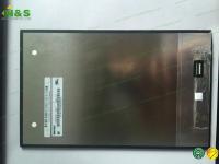 China N080ICE-GB1 Innolux LCD Panel Displays 8.0 inch 107.64×172.224 mm for sale