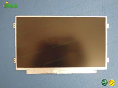China White AUO LCD Panel B101AW06 V4 10.1 inch 1024×600 Outline 243×146.5×3.6 mm for sale