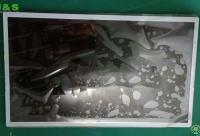 China NL13676BC25-03F  NLT  	a-Si TFT-LCD ,15.6 inch, 1366×768  for Industrial  Application for sale