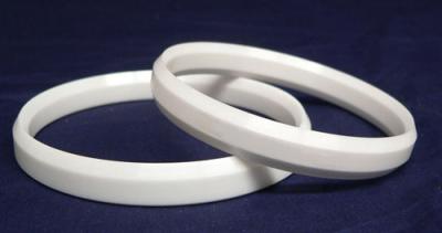 China Ceramic Ring for sale