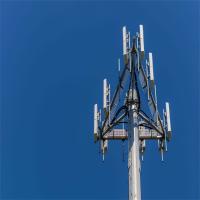 China 20m-50m Self Supporting Antenna Mast Hot Dip Galvanized High Mast Monopole  for sale