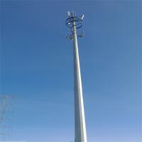 China OEM Galvanized Bionic Monopole Telecom Tower With High Tensile Steel for sale