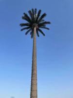 China 10 20 30 M Palm Tree Fake Tree Cell Tower Camouflaged Telecommunication  5-80M for sale