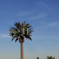 China Galvanized Steel Single Tube Bionic Camouflage 5g Towers Coconut Tree Telecom Palm Tree Pine Tree for sale
