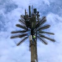 China High Performance Innovative Communication Disguised Cell Towers Coconut Tree Customized Steel Monopole Tower for sale