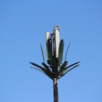 China 15 20 25 30 35 40 45M Hot Dip Galvanized Camouflaged Fake Tree Cell Phone Tower Bionic Cypress Monopole Towers for sale