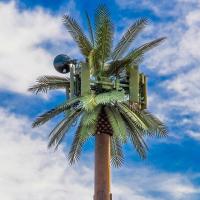 China 15 20 25 30 35 40 45M Hot Dip Galvanized Camouflaged Fake Tree Cell Phone Tower Bionic Cypress Monopole Towers for sale