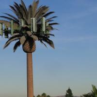 China Galvanized GSM Mobile Bionic Palm Tree Antenna Tower Single Pole 5g Tower Camouflage for sale