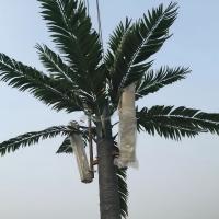 China 10 20 30 40m Camouflaged Cell Towers Telecommunication Monopole Pine Tree Cell Tower for sale