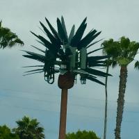 China 10 20 30 40m Camouflaged Cell Towers Telecommunication Monopole Pine Tree Cell Tower for sale