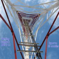 China 3 Legged Angular Steel Tower Communication Tower Q235 Steel 25m LTE Network Weatherproof Rural Areas for sale